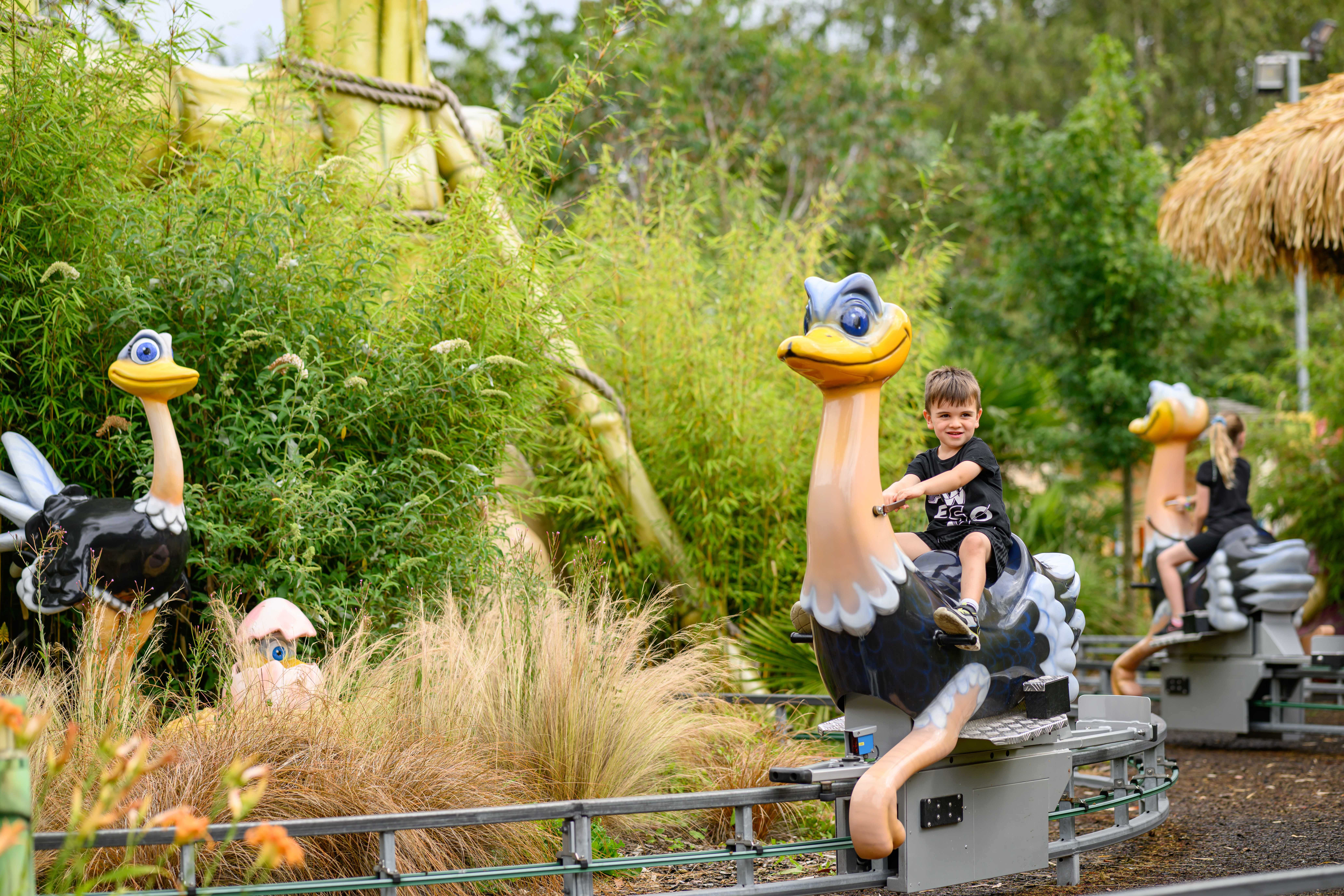 Risk Assessment - School Visits | Sundown Adventureland